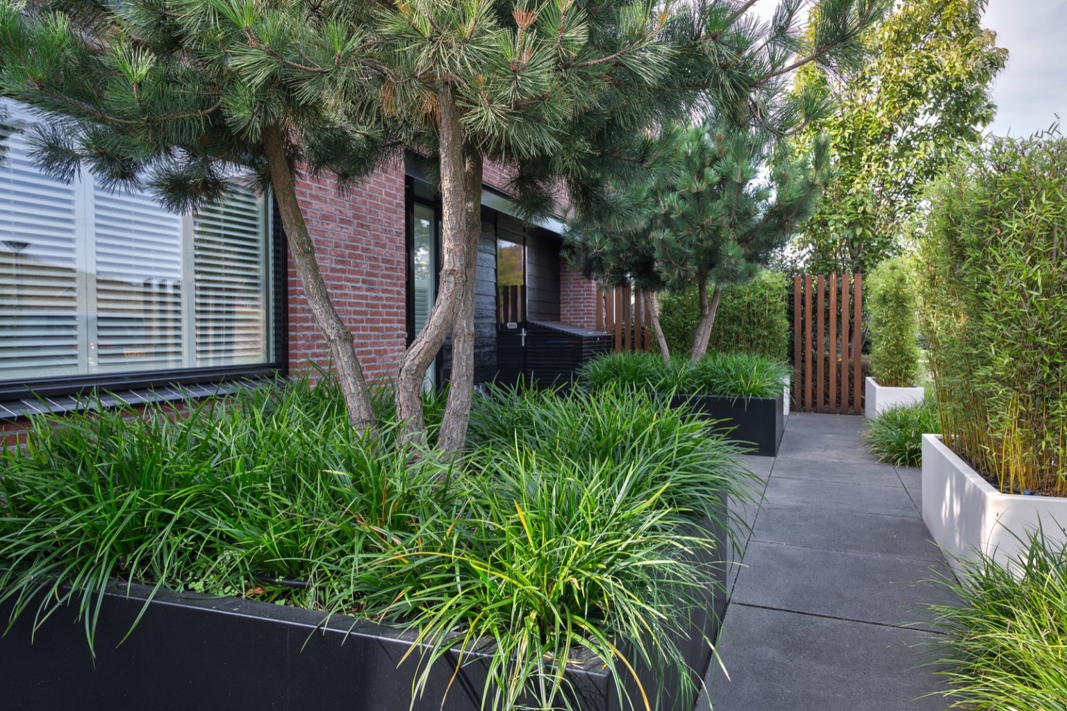 Exclusive privacy front yard