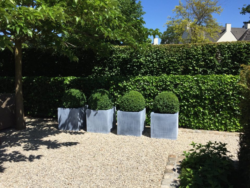 Strakke moderne tuin