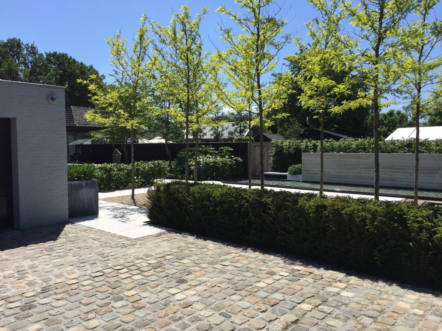 Strakke moderne tuin