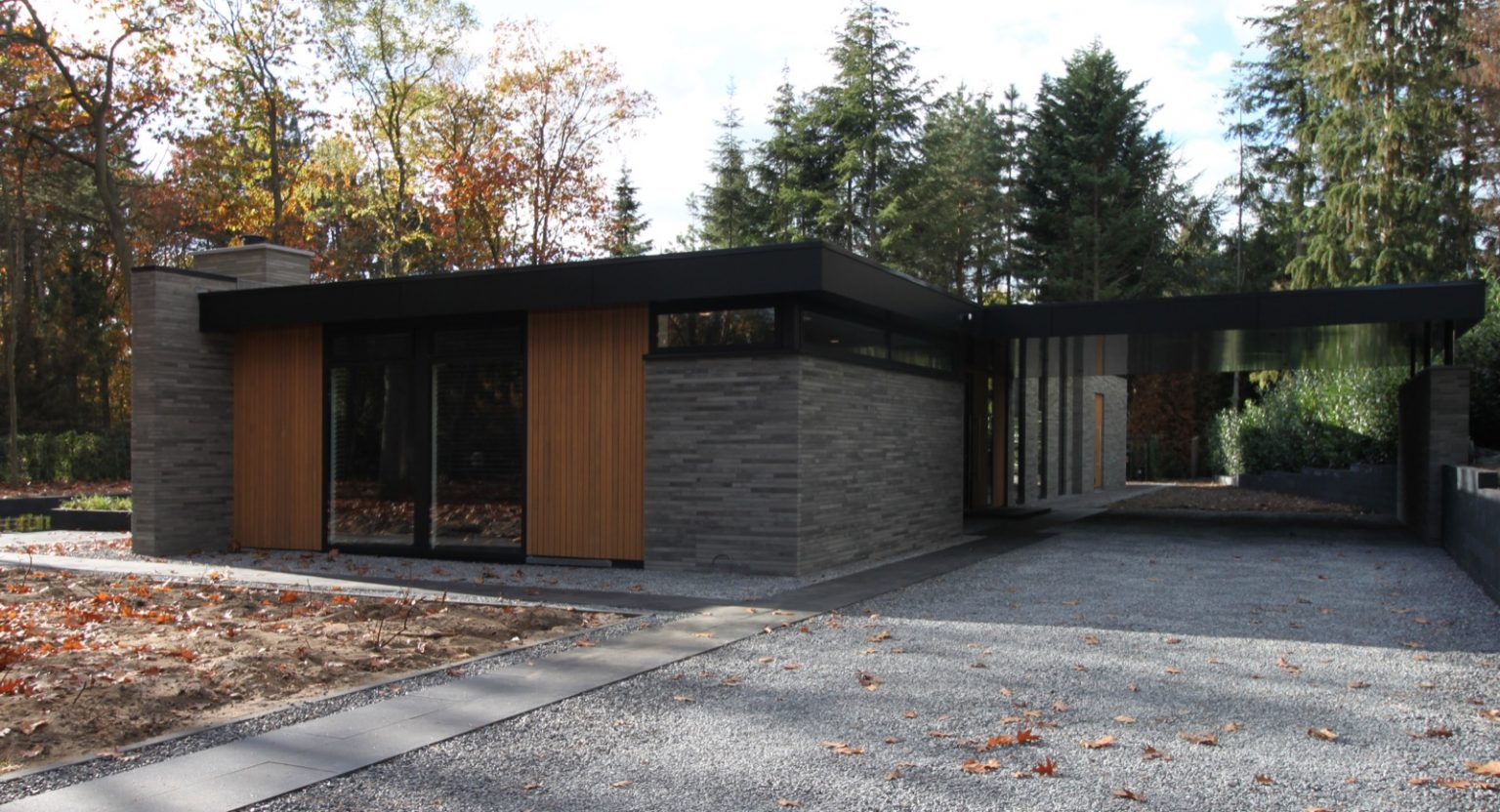 Modern forest villa