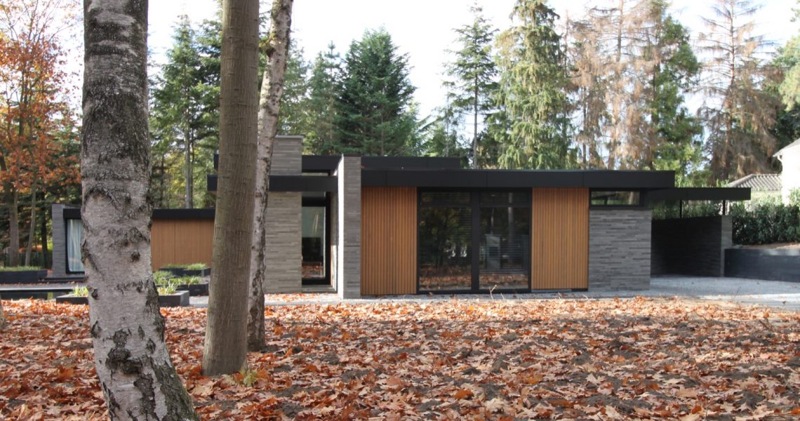Modern forest villa