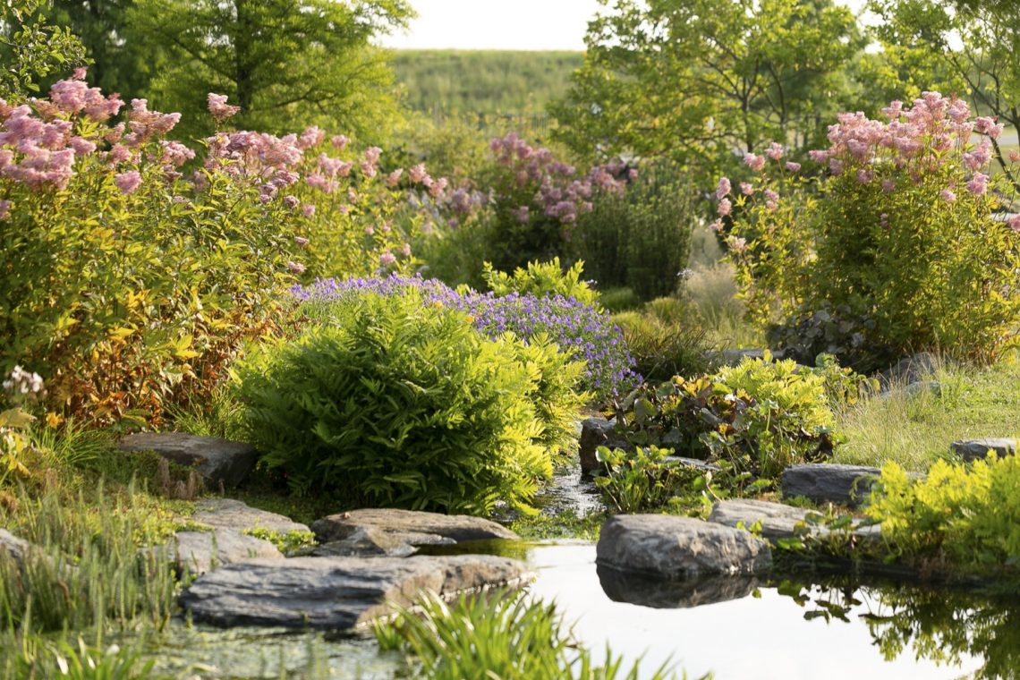 The Stream Garden