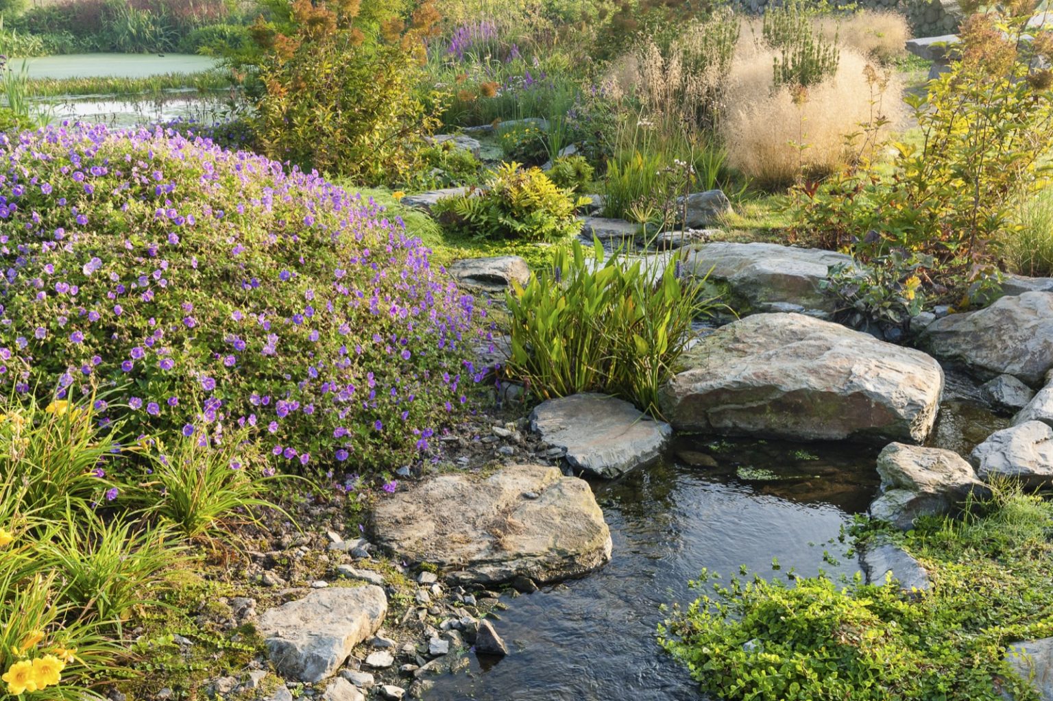 The Stream Garden