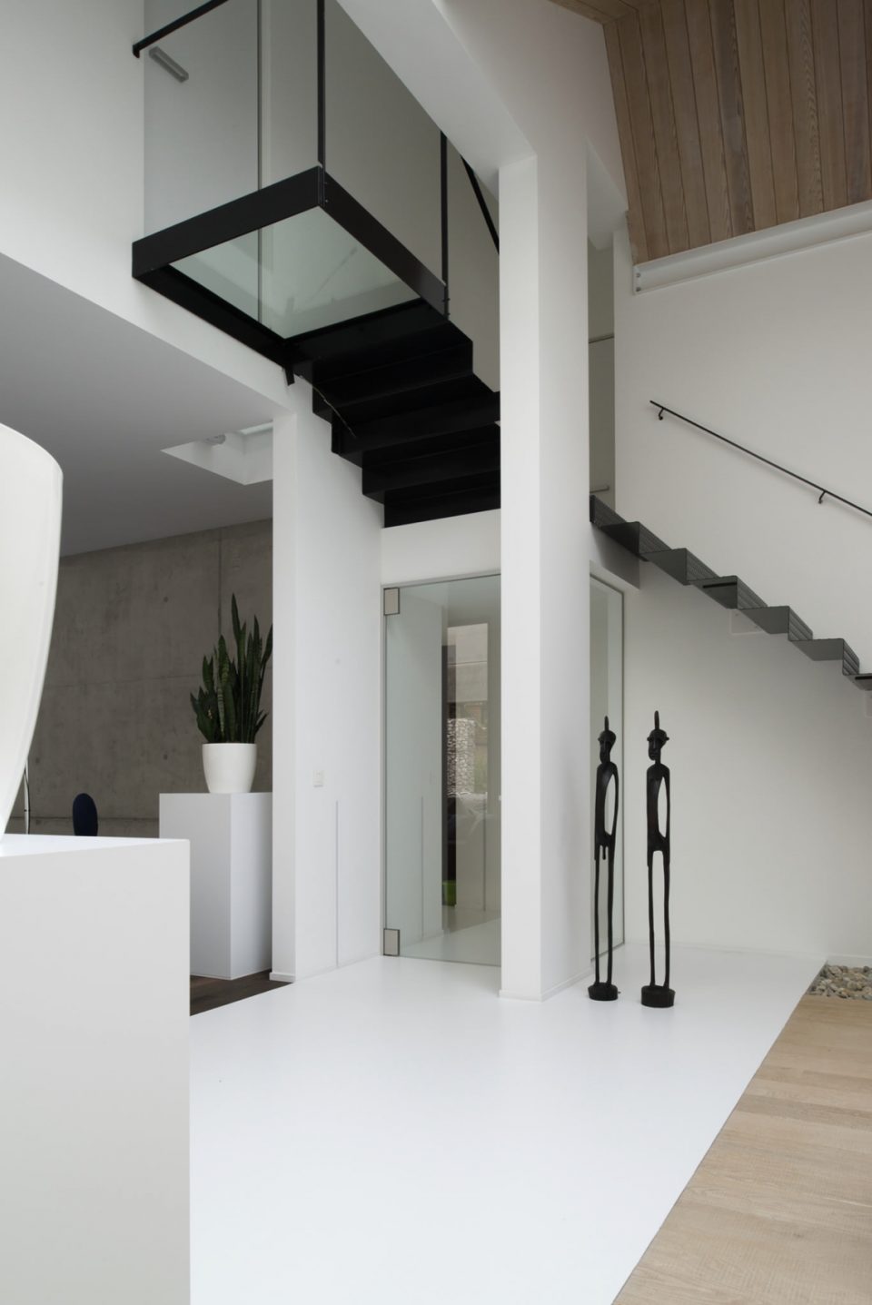 Architect house with modern interior doors