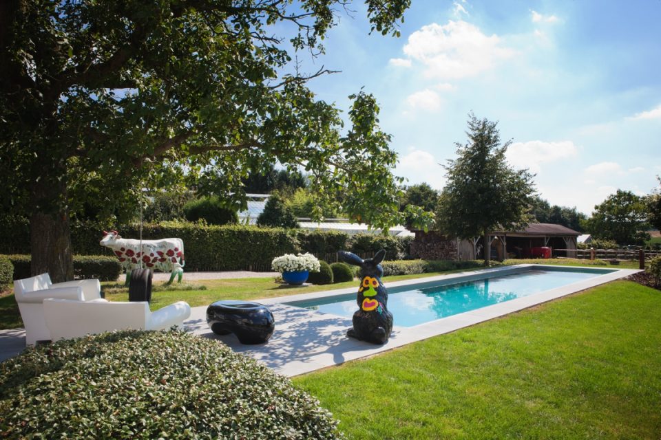 Exclusief roestvrijstalen zwembad Overijse