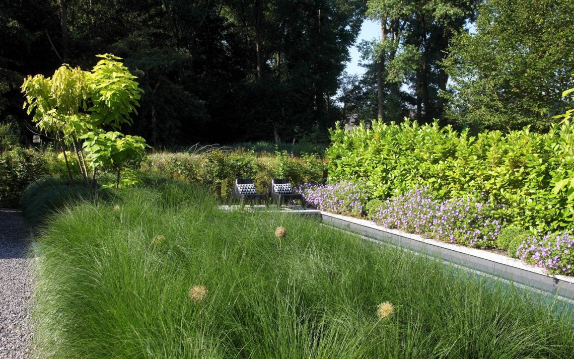 Modern garden in greenery