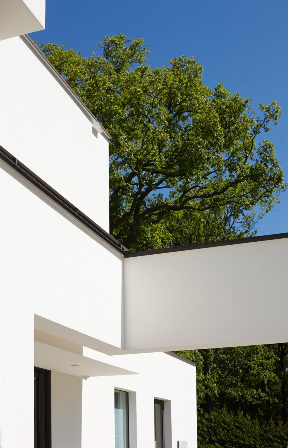Architectural lines