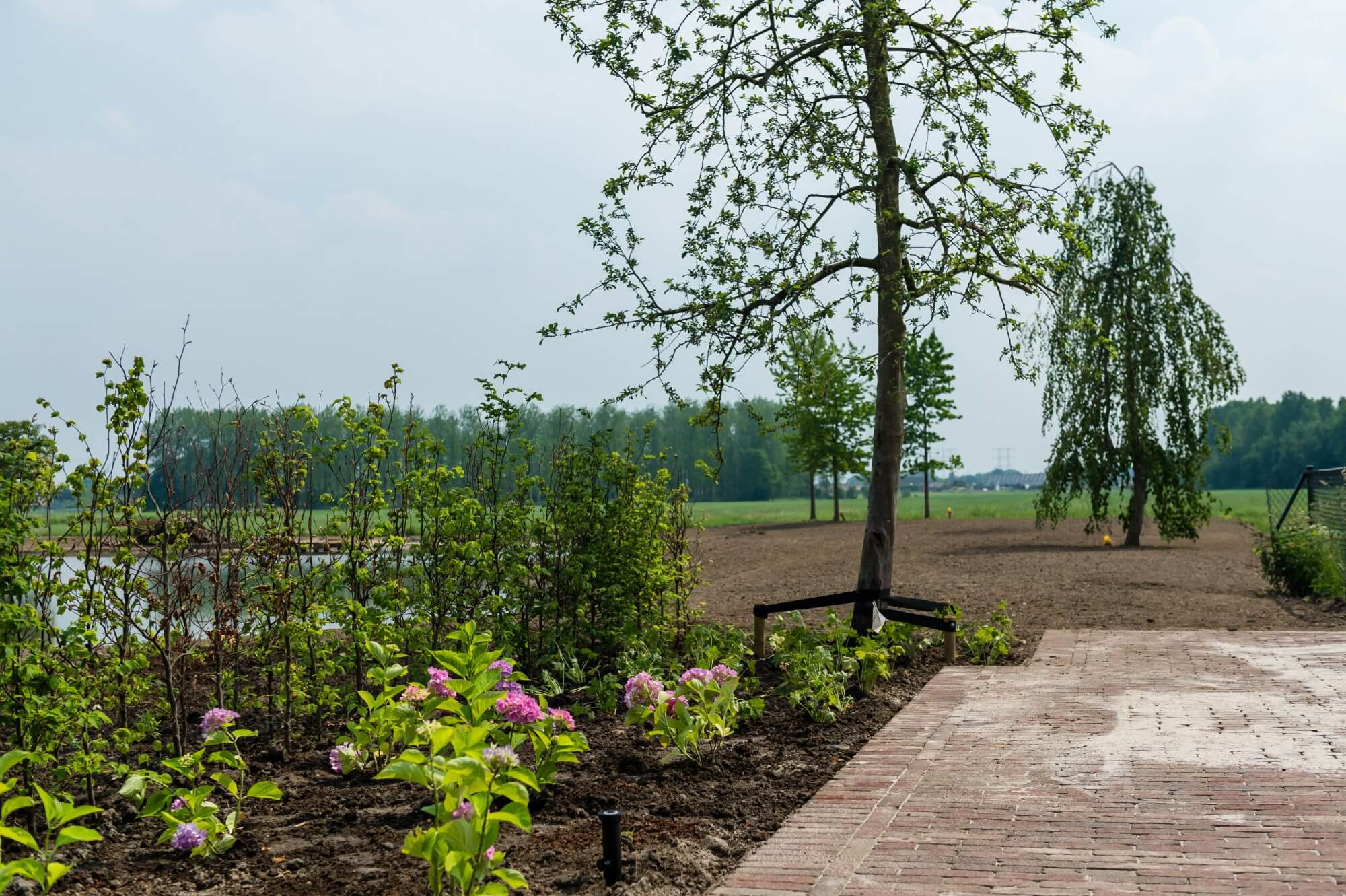 Farm garden with natural pond