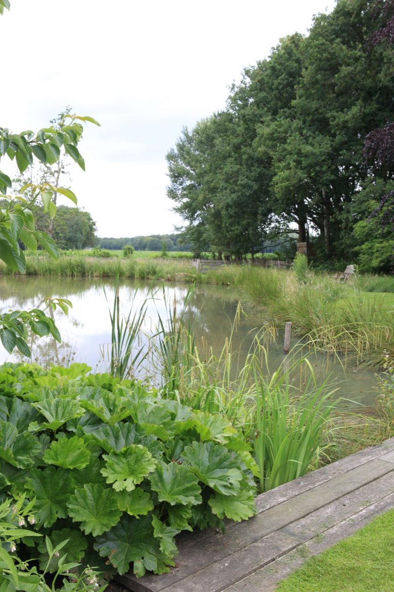 Farm garden with pond