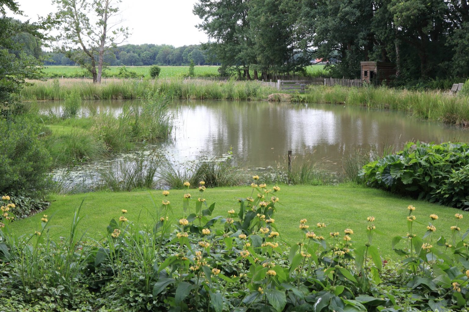 Farm garden with pond