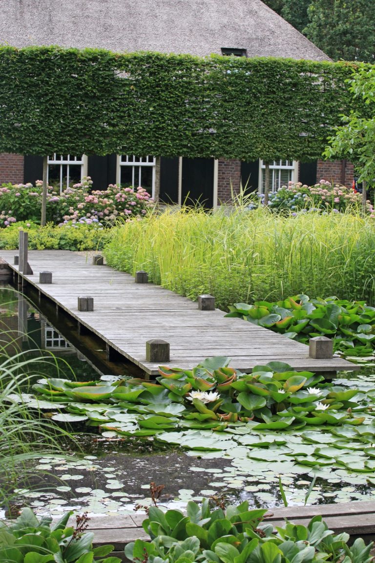 Farm garden with pond