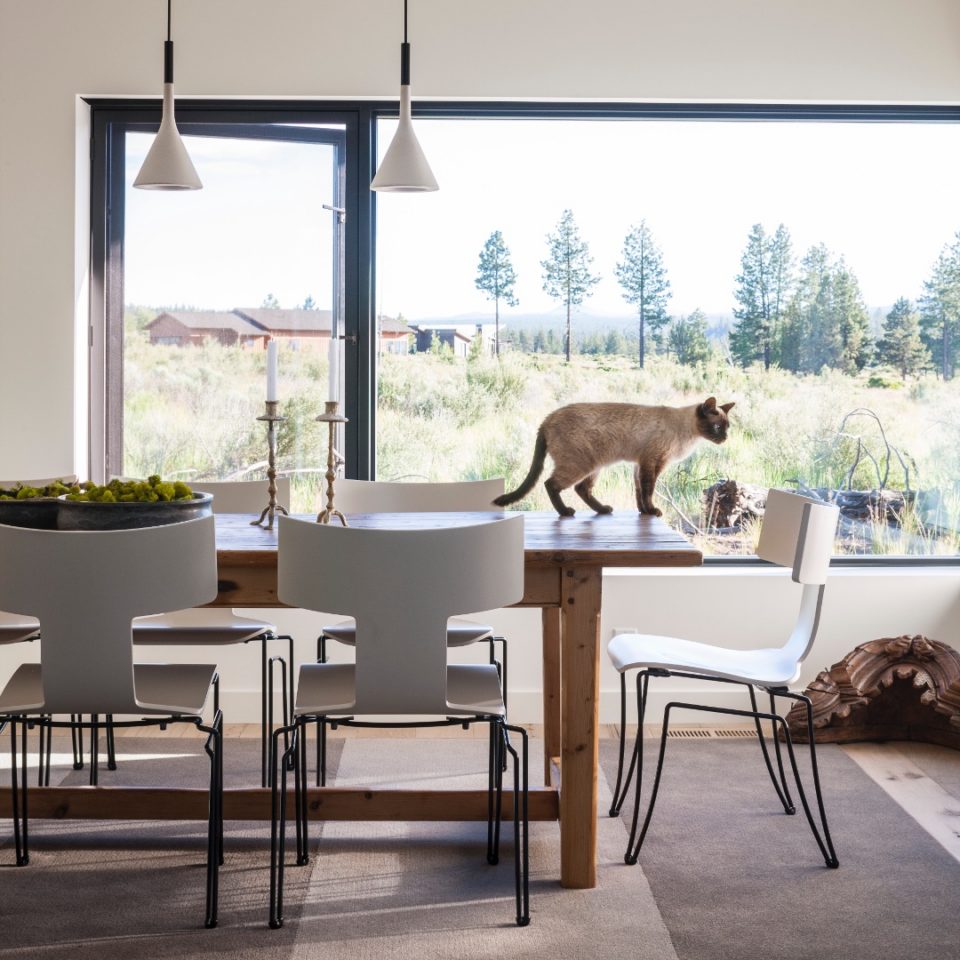 High Desert Modern