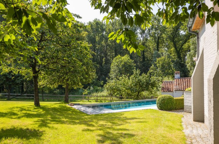 Self-supporting stainless steel high-water line swimming pool Zeveren