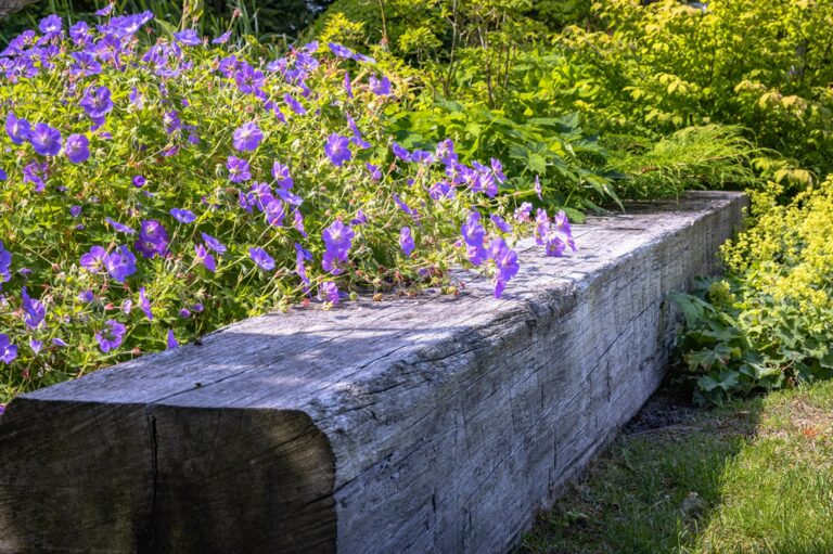 Met het hoofd in de (groene) wolken