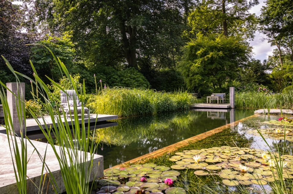 Met het hoofd in de (groene) wolken