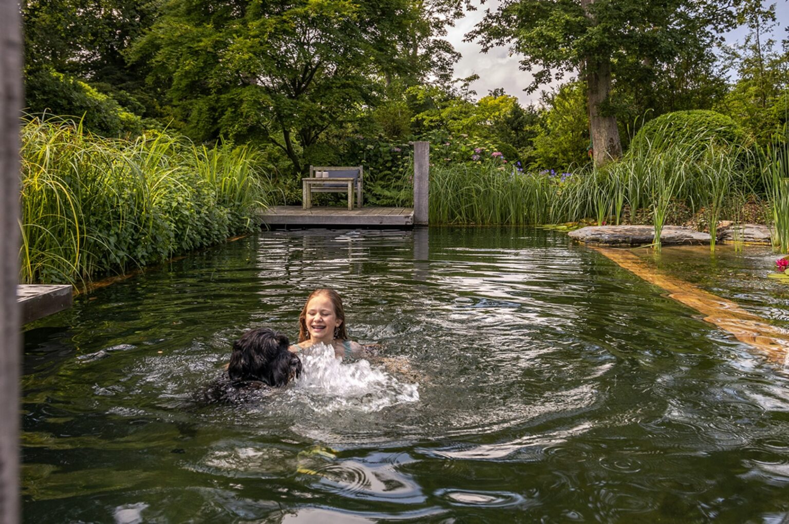 Met het hoofd in de (groene) wolken