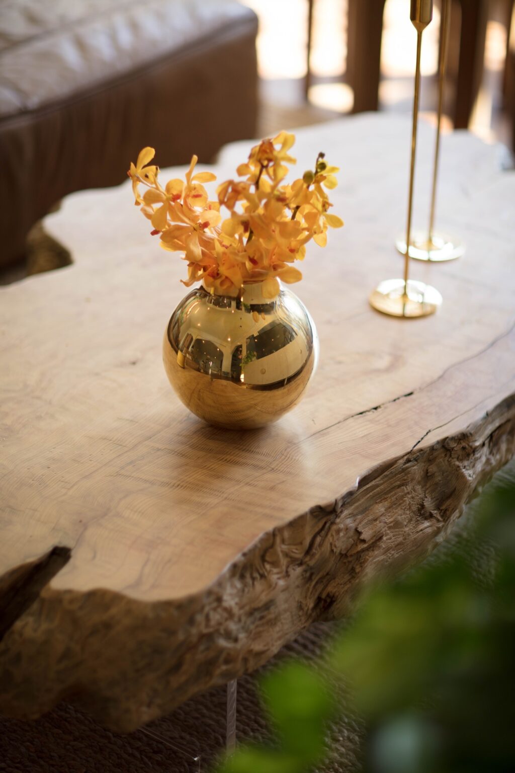 Ontwerpen met de natuur