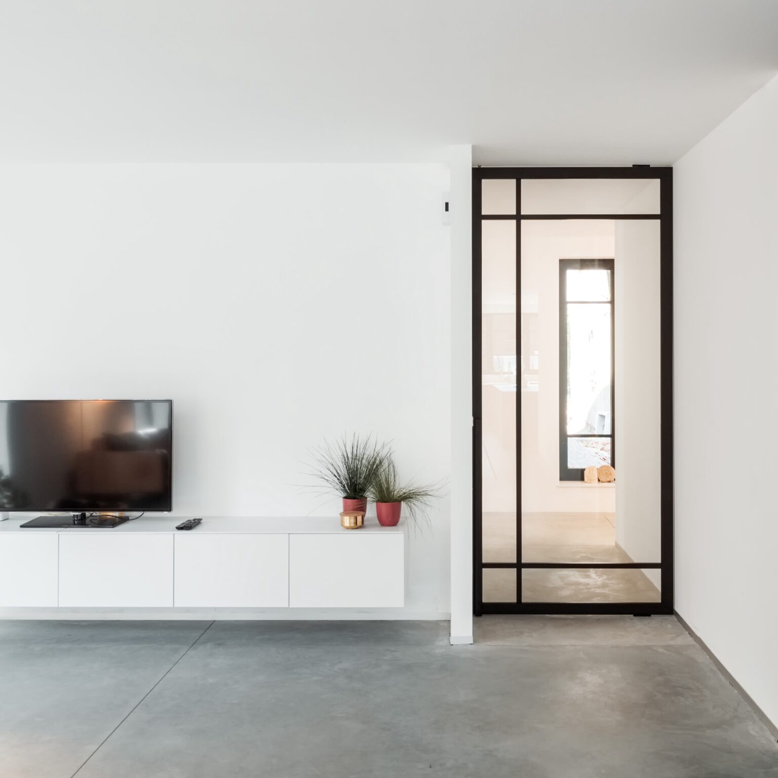 Modern steel doors