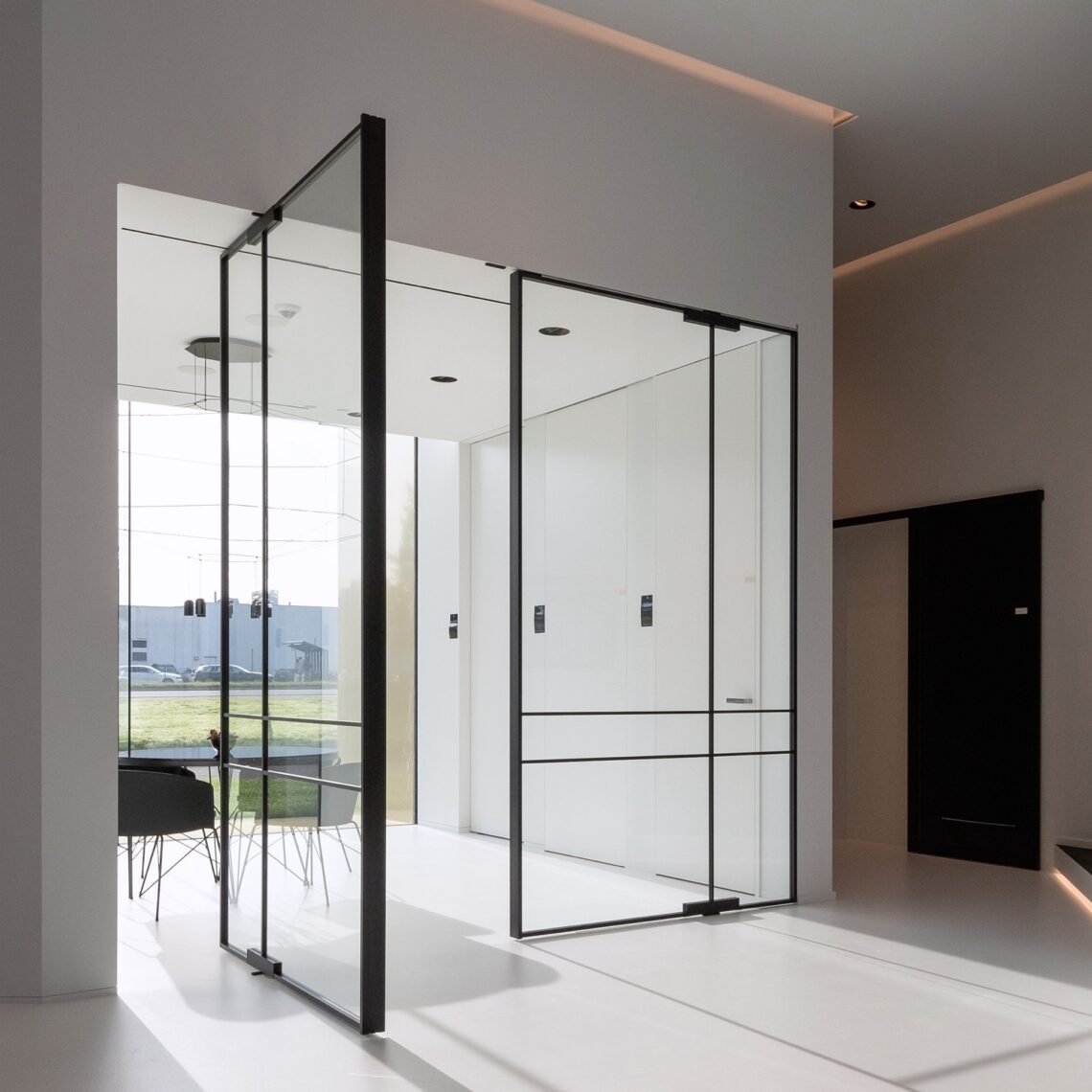 Modern steel doors