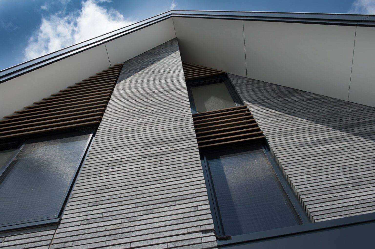 Modern home with GeoStylistix facade and GeoCeramica® terrace: