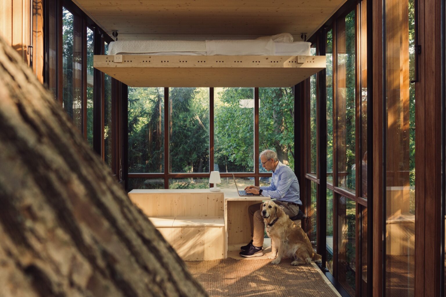 Treehouse Cube Bruges