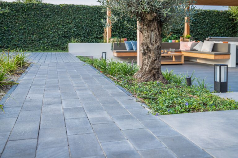 Project driveway and garden