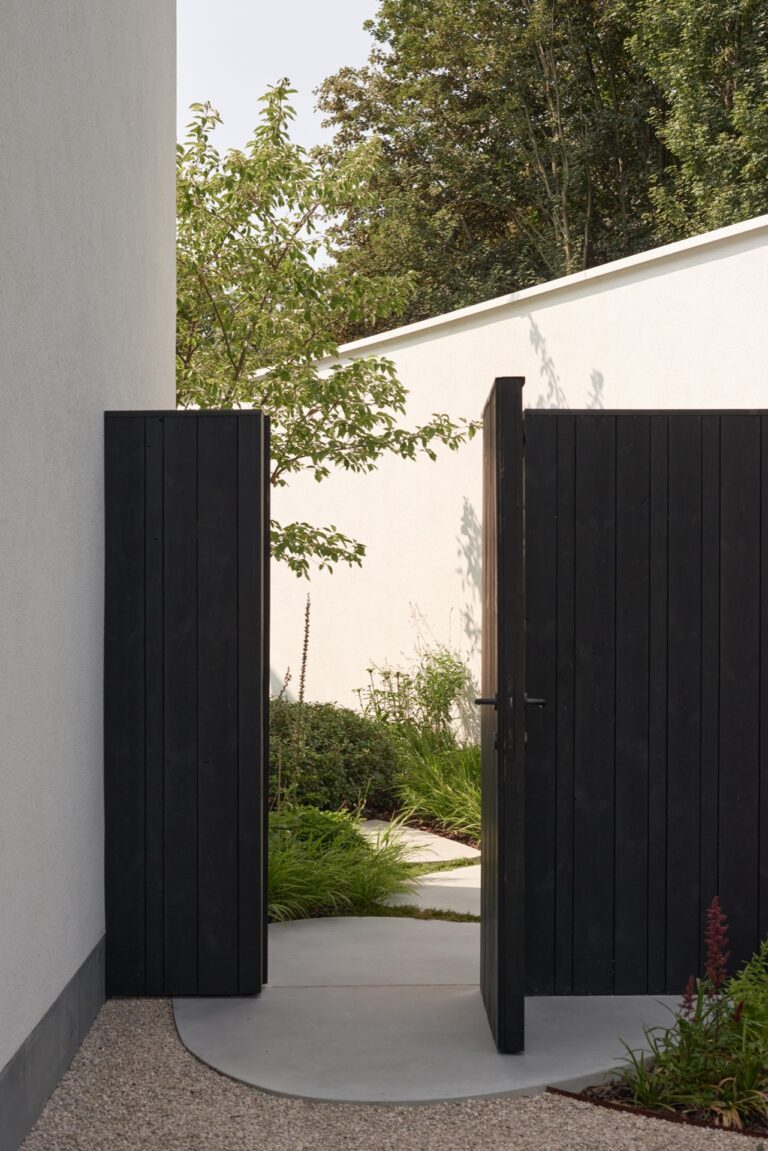 Organic forms at sleek home