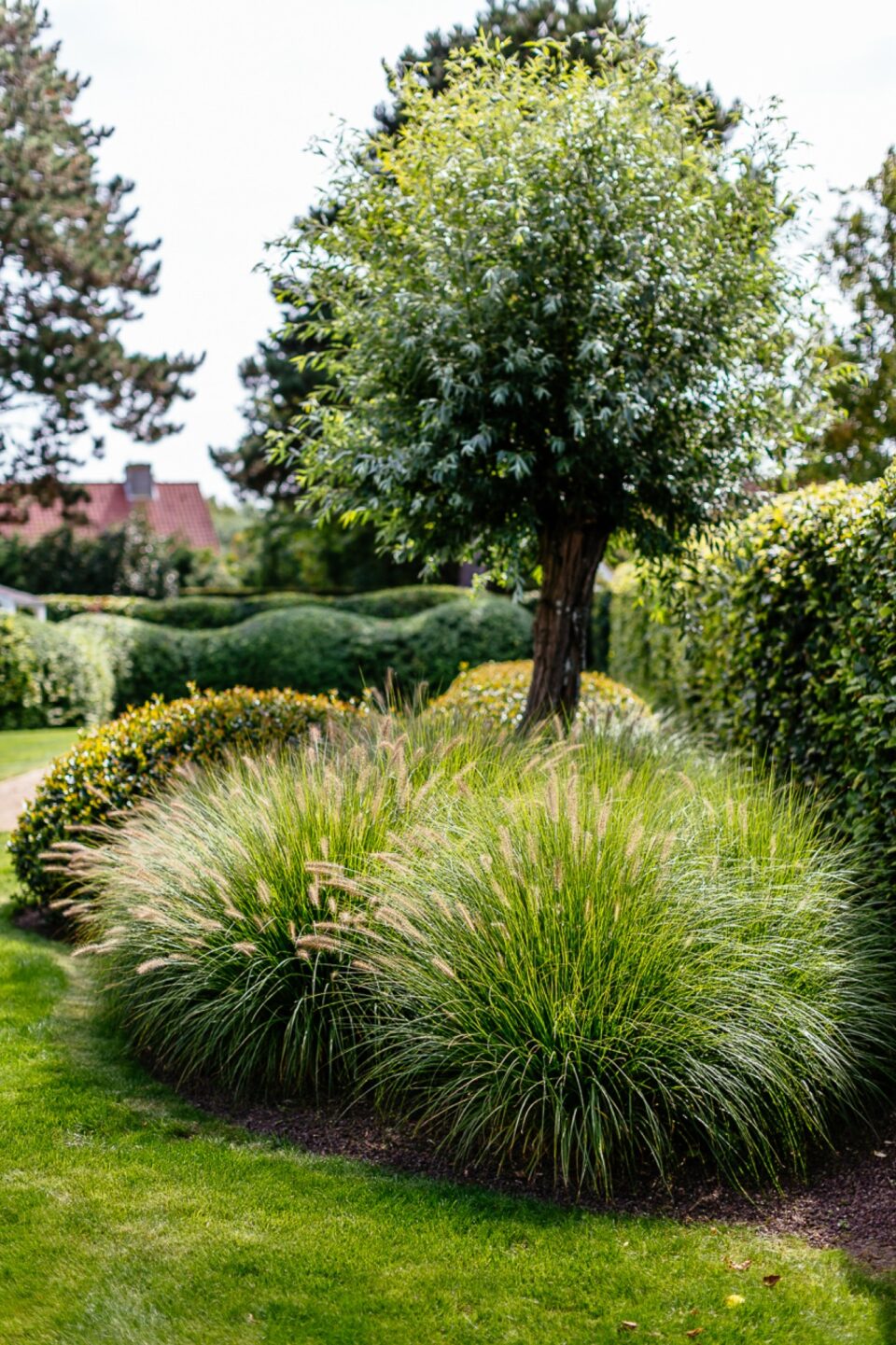 Sfeervolle tuin met zwemvijver