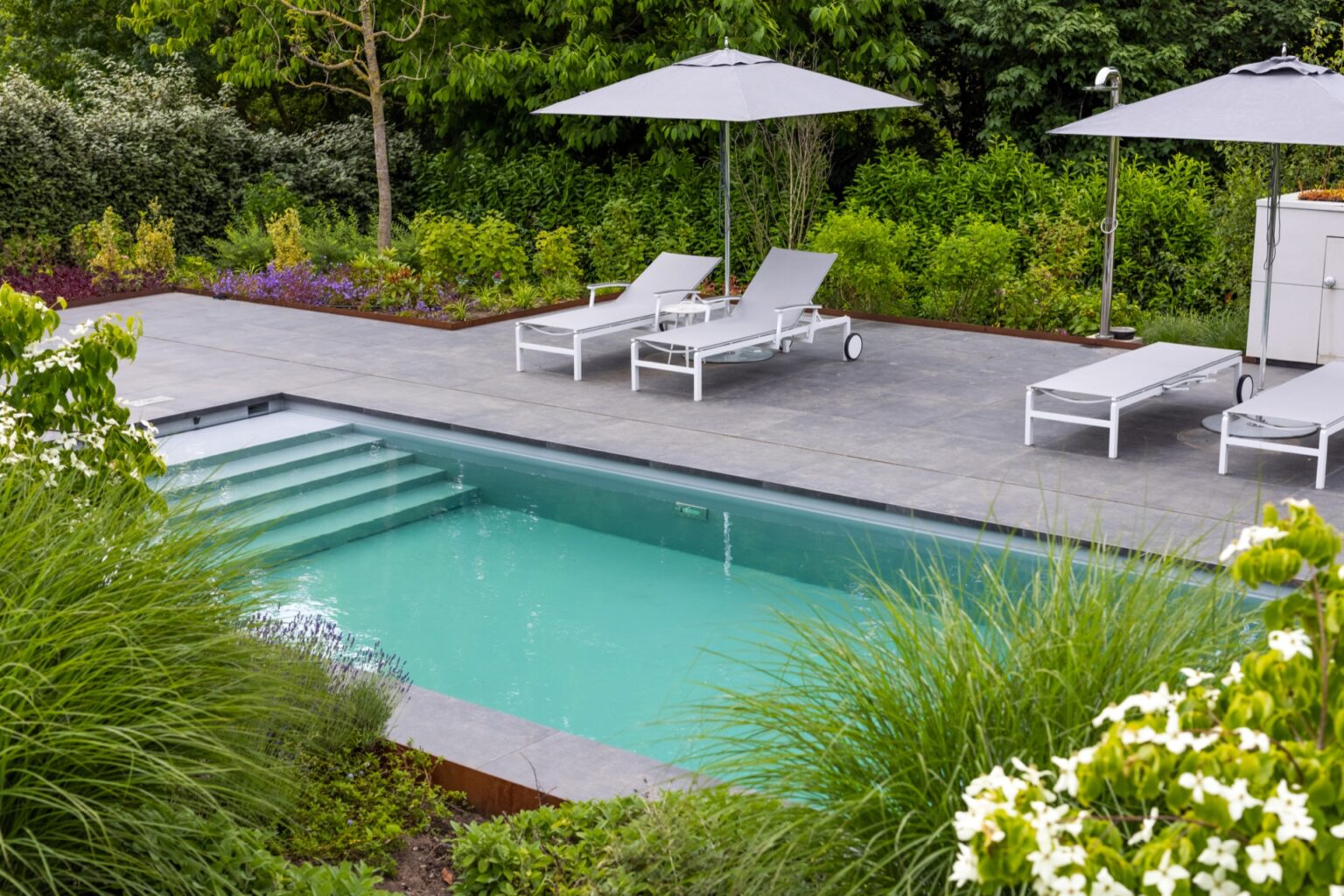 12m Nova Line swimming pool in green surroundings at Arnhem