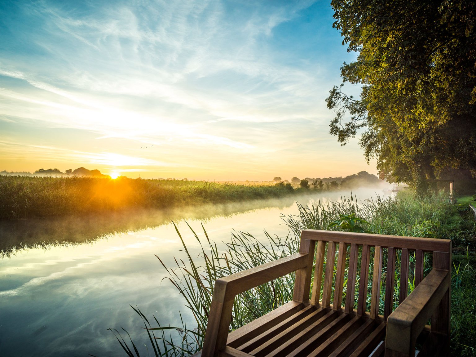 Showtuin Strak Studio