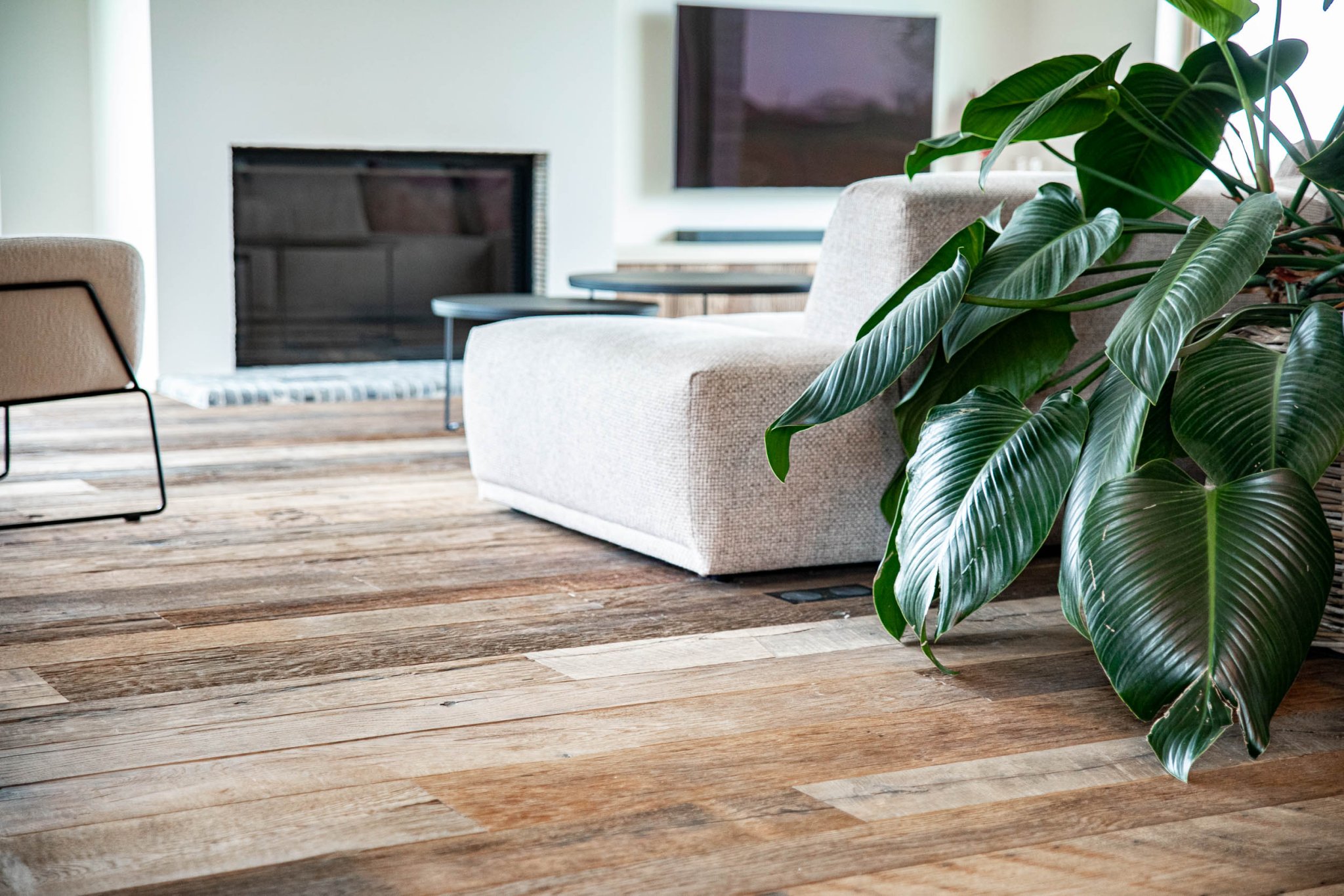 Woonboerderij in Gits (BE)