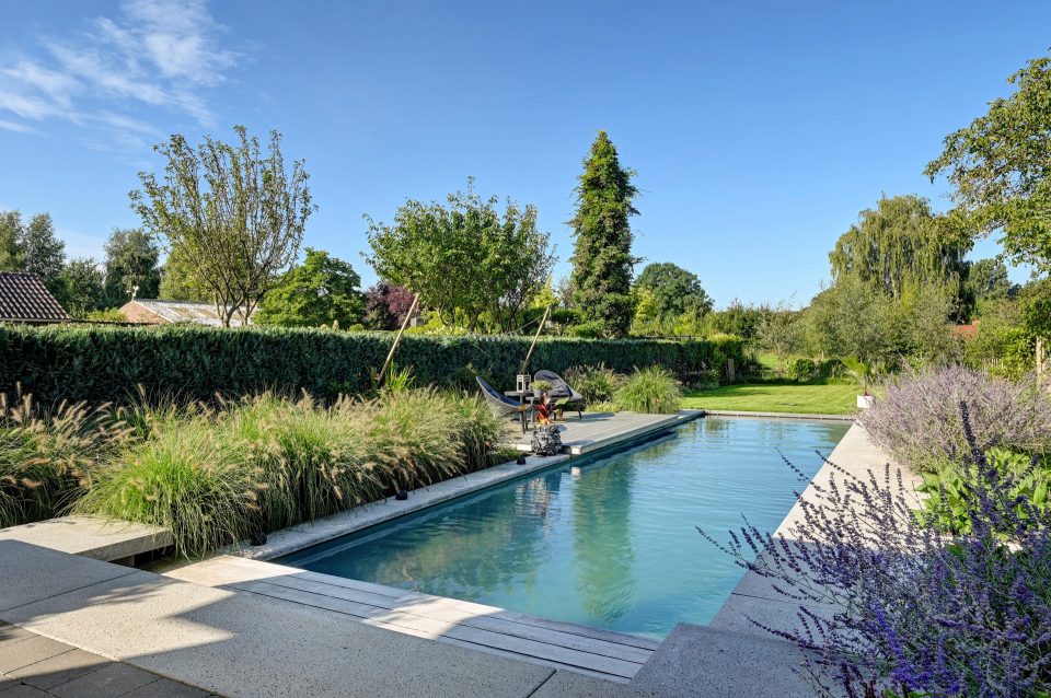 Biopool Herk-de-Stad