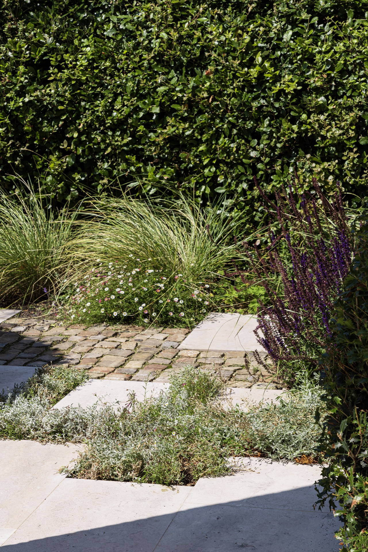 De zilveren kusttuin