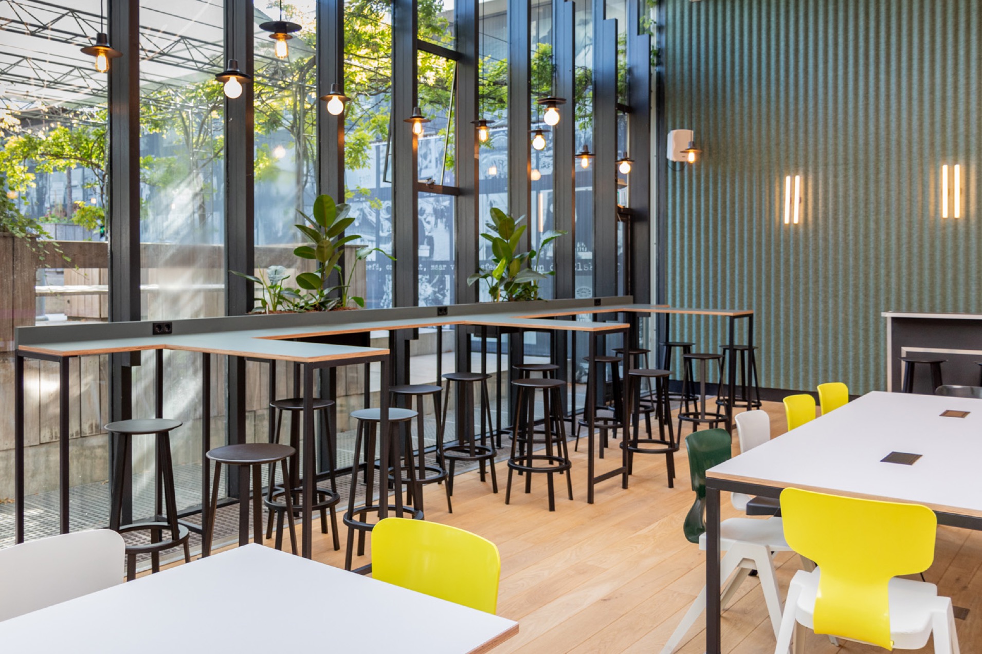 Ned. Filmacademie Amsterdam